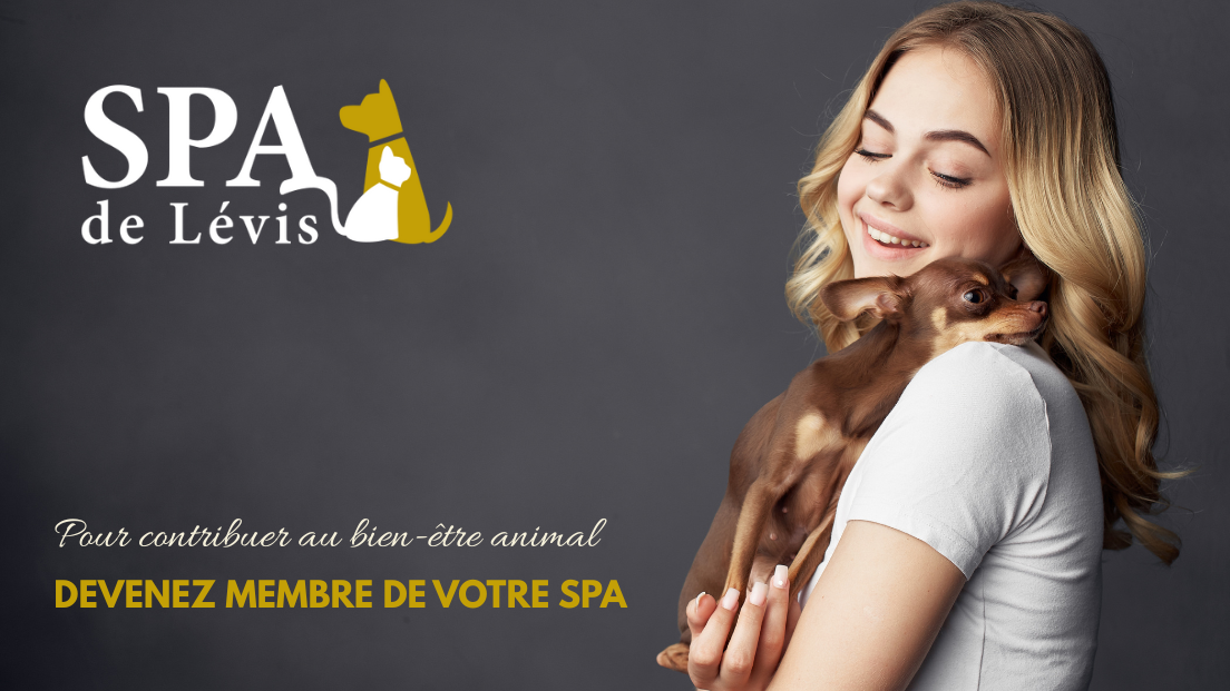 Devenir membre | SPA de Lévis